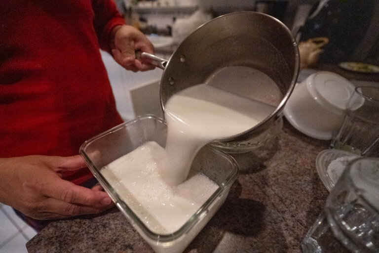 Quick & Easy Coconut Milk Pudding Recipe